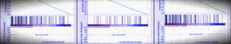 Data Analysis · Pathway Guide